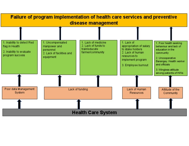 Health Care Program Implementation Failures | PDF