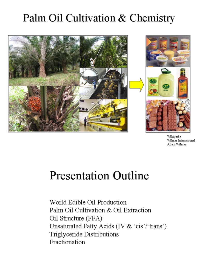 Palm Oil Cultivation and Chemistry | PDF | Biofuel | Vegetable Oil