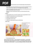 Sinaps dan Neurotransmitter: Fungsi dan Mekanisme | PDF