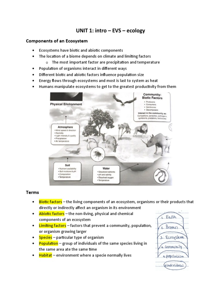 UNIT 1: Intro - EVS - Ecology: Components of An Ecosystem | PDF | Food ...