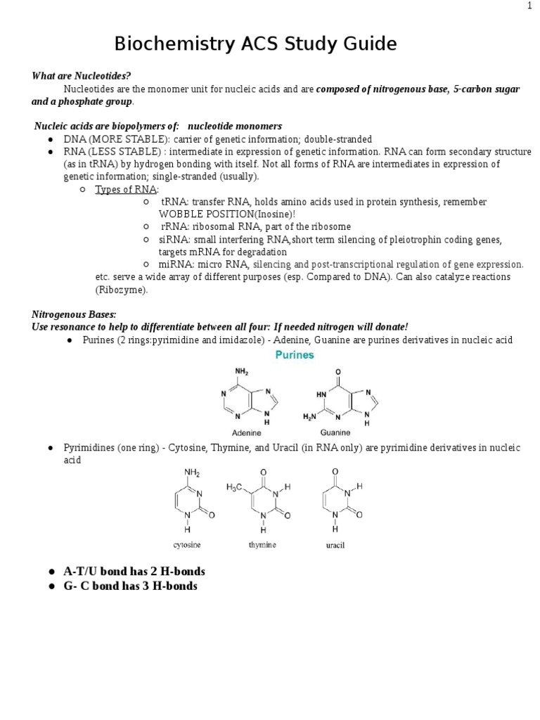 Biochemistry Study Guide: Nucleotides & DNA | PDF | Dna Replication | Rna