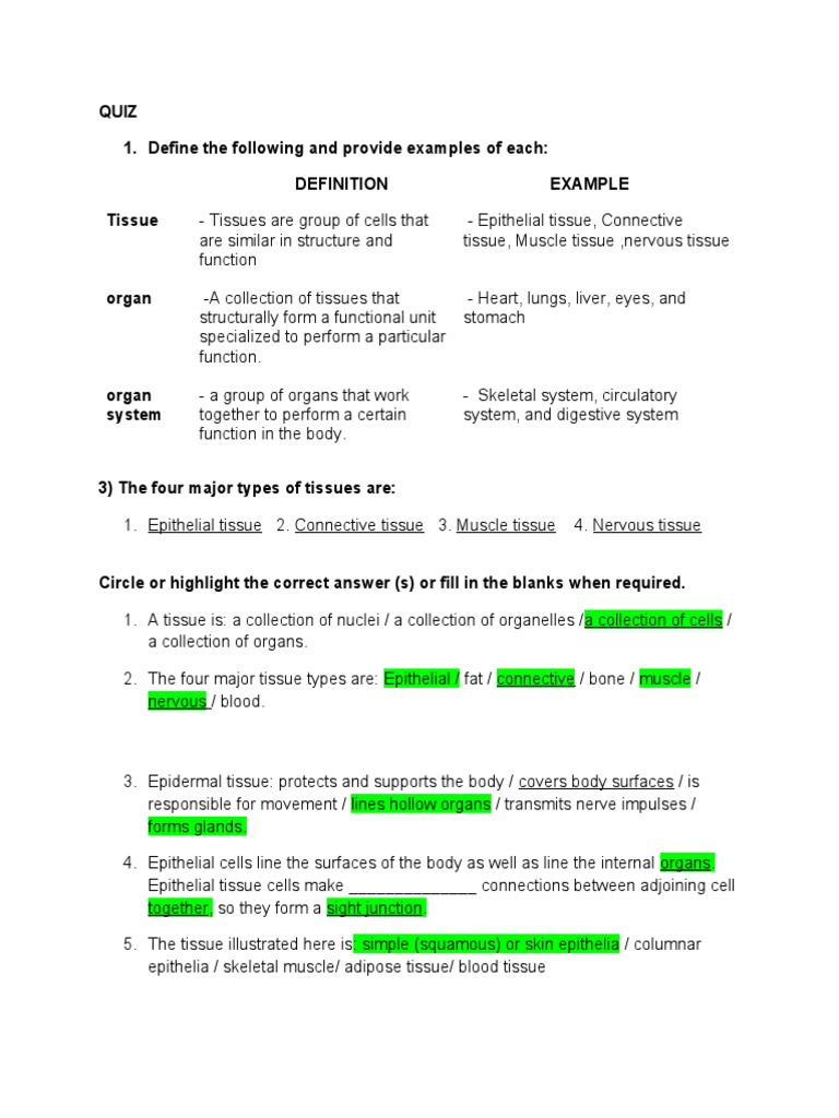 Understanding Tissue Types and Functions | PDF | Epithelium | Tissue ...
