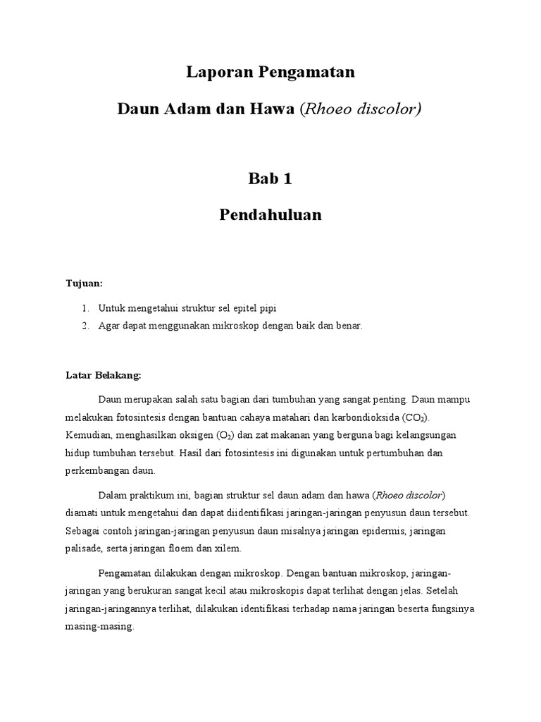 Laporan Biologi Fotosintesis Daun Adam Hawa | PDF