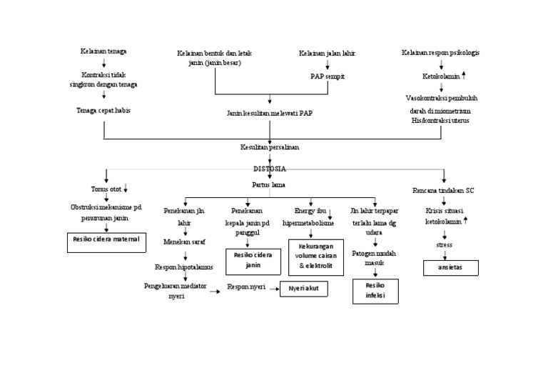Pathway Distosia Bahu | PDF