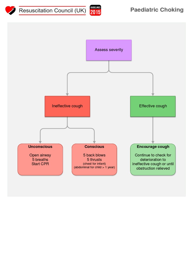 Paediatric Choking Treatment-A3 | PDF