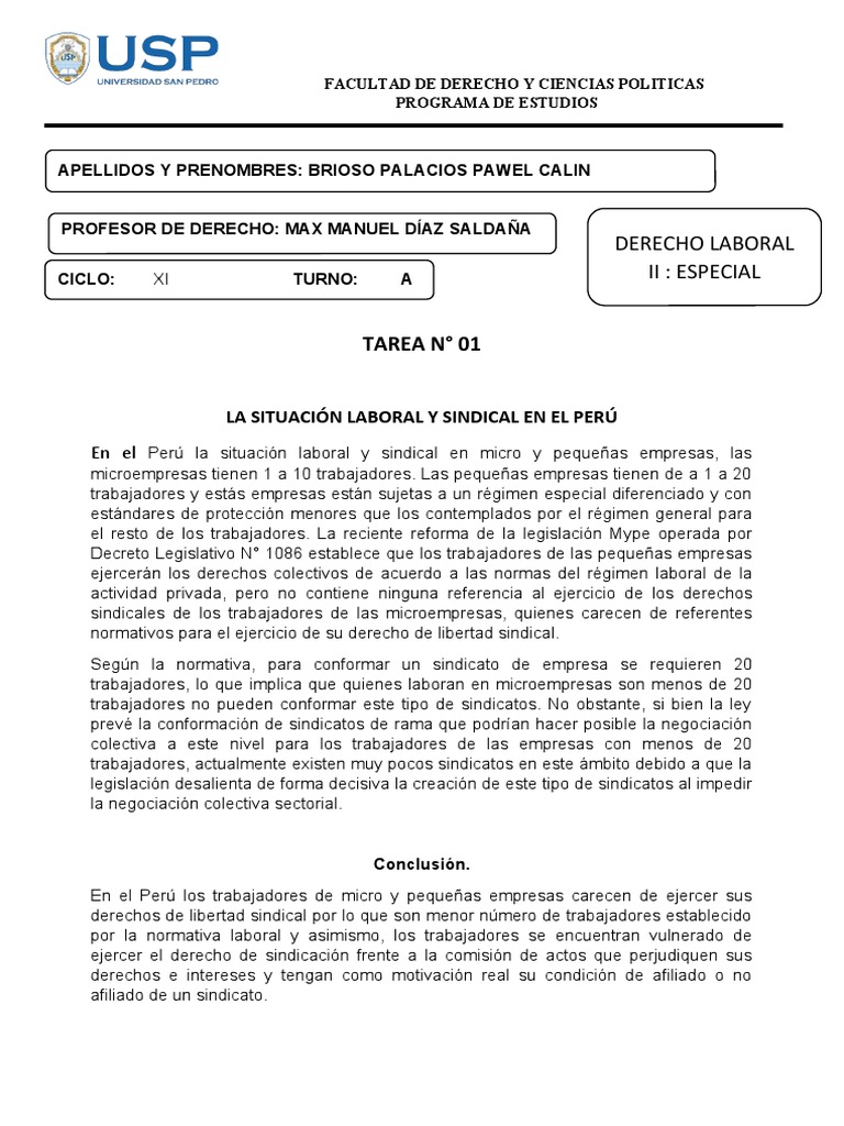 TAREA N°01 | PDF | Sindicato | Pequeñas y medianas empresas