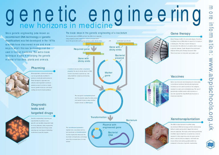 Genetic Engineering | PDF | Science & Mathematics