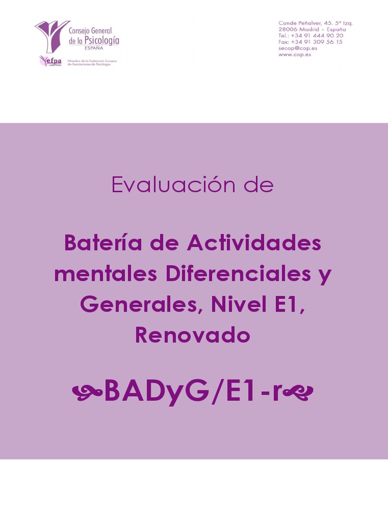 BADyG E1 R | PDF | Validez (Estadísticas) | Inteligencia