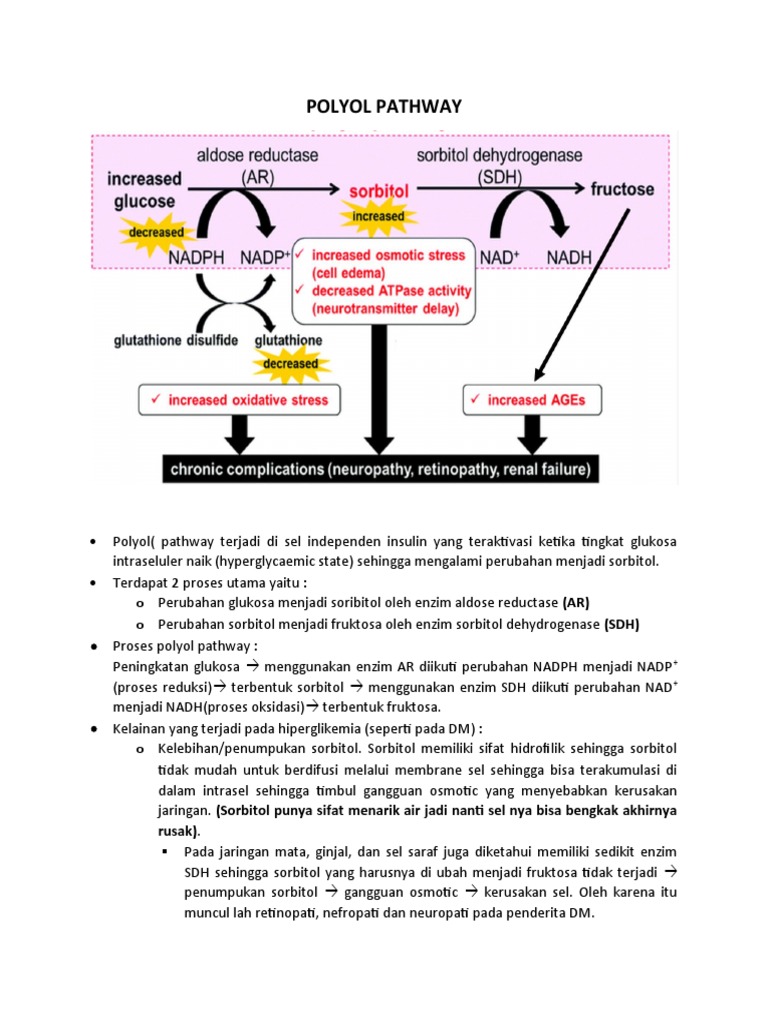 SM - Polyol Pathway | PDF | Memasak, Makanan, & Anggur | Kesehatan Holistik