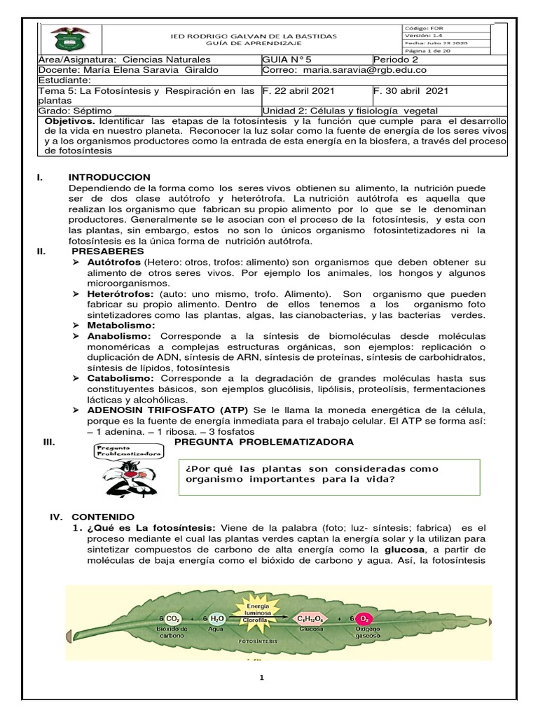 Guia5 La Fotosintesis Septimo RGB 2021 | PDF | Cloroplasto | Fotosíntesis