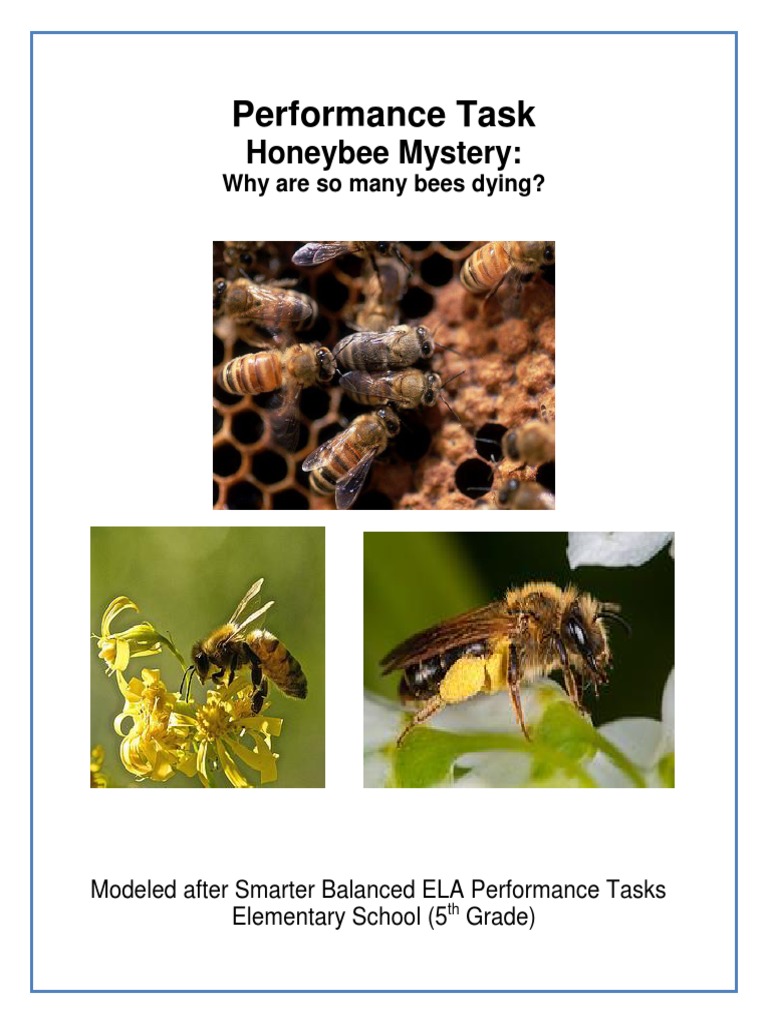 Honeybee Crisis for Young Learners | PDF | Honey Bee | Pollination