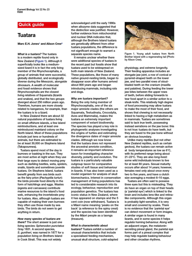 PIIS0960982212013036 | PDF | Reptile | Biology