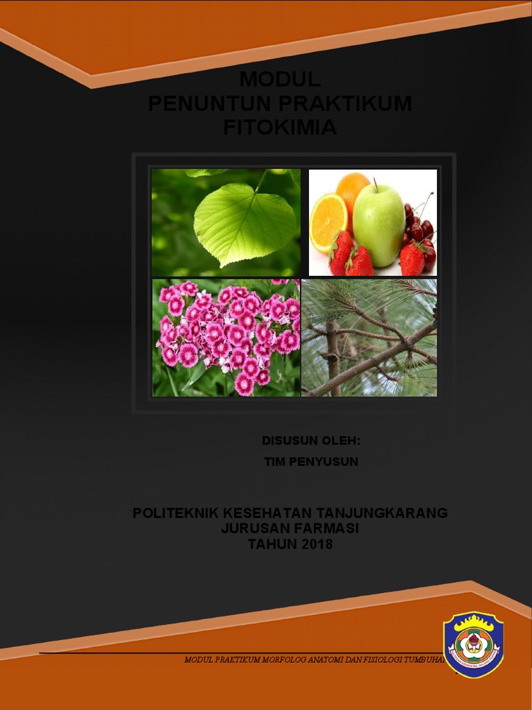 Modul Fitokimia | PDF | Kesehatan Holistik