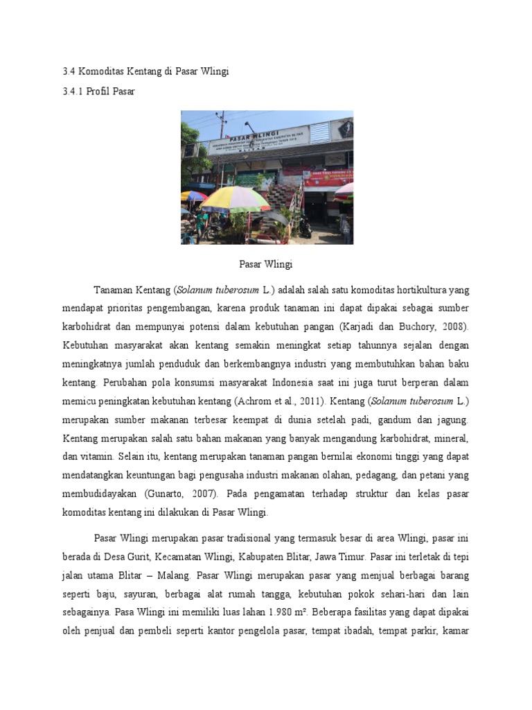 Pasar Wlingi Kentang | PDF