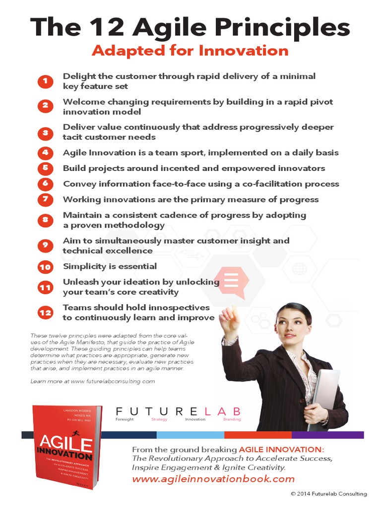 Adapted For Innovation: The 12 Agile Principles | PDF