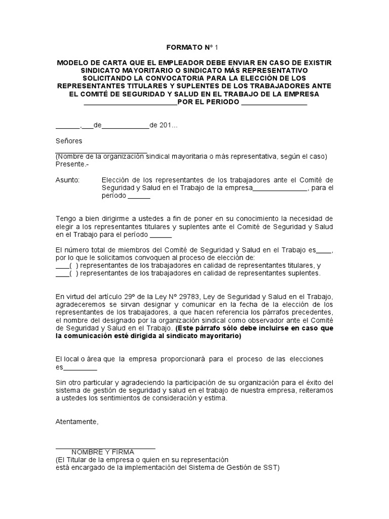 Formatos Del CSST | PDF | Elecciones | Votación