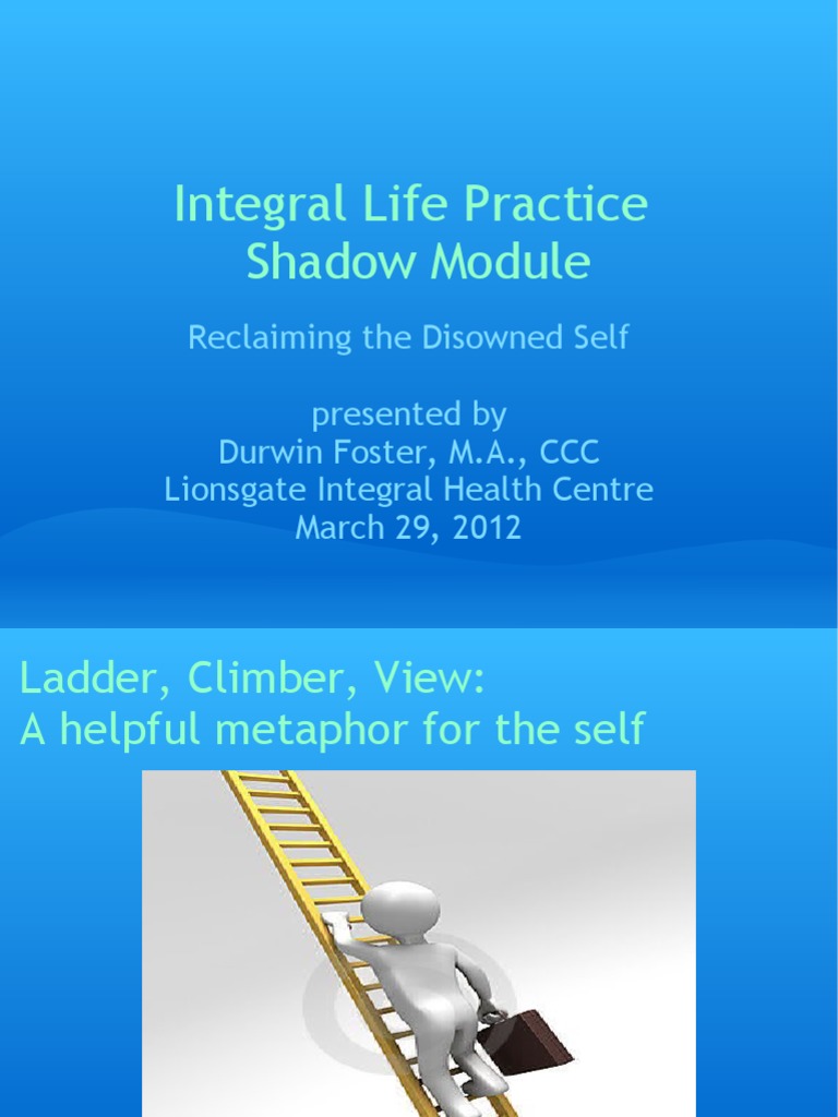 Integral Life Practice Shadow Module | PDF | Self | Psychology