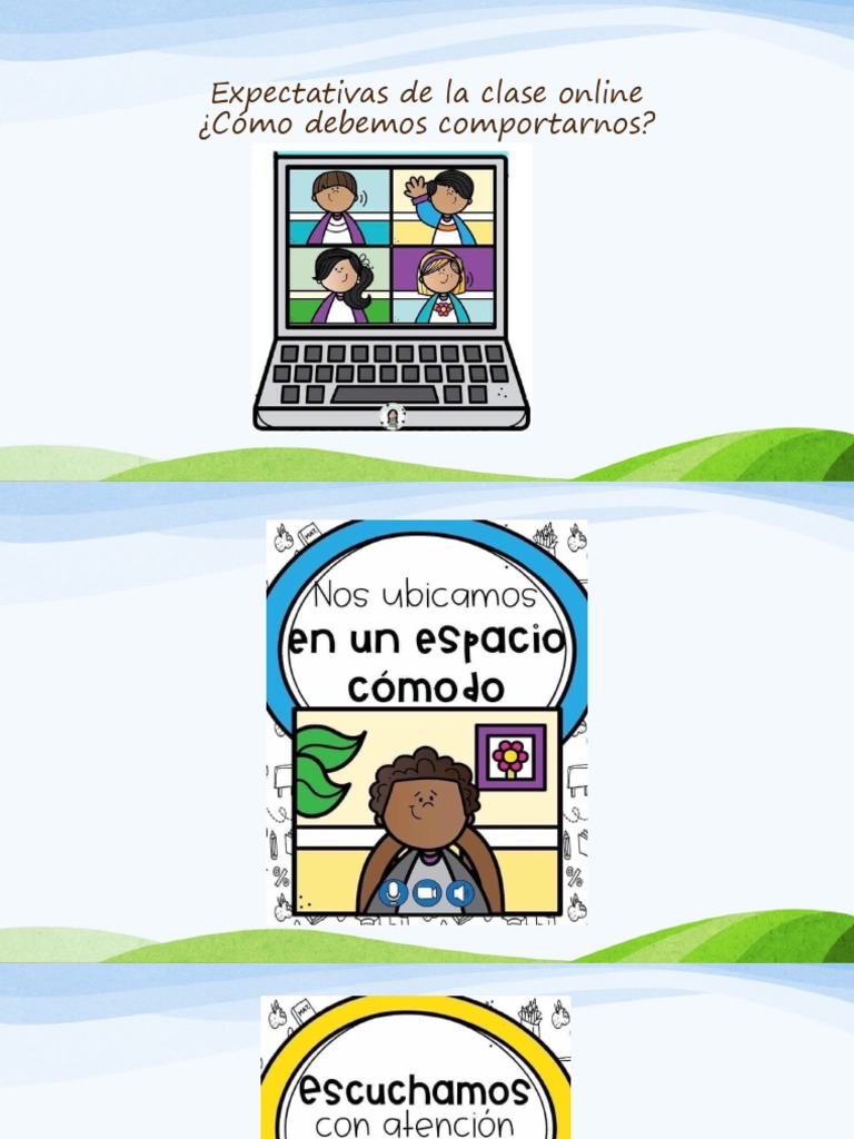 Expectativas de La Clase Online | PDF