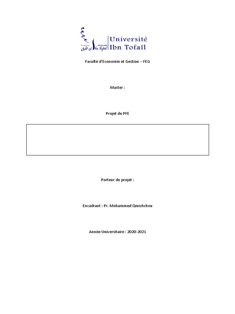 Projet de PFE en Économie et Gestion | PDF