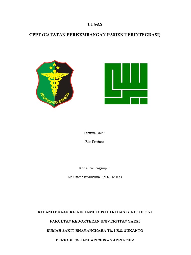 Panduan Pengisian CPPT | PDF