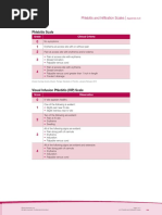 Phlebitis Scale Aj | PDF | Intravenous Therapy | Medicine