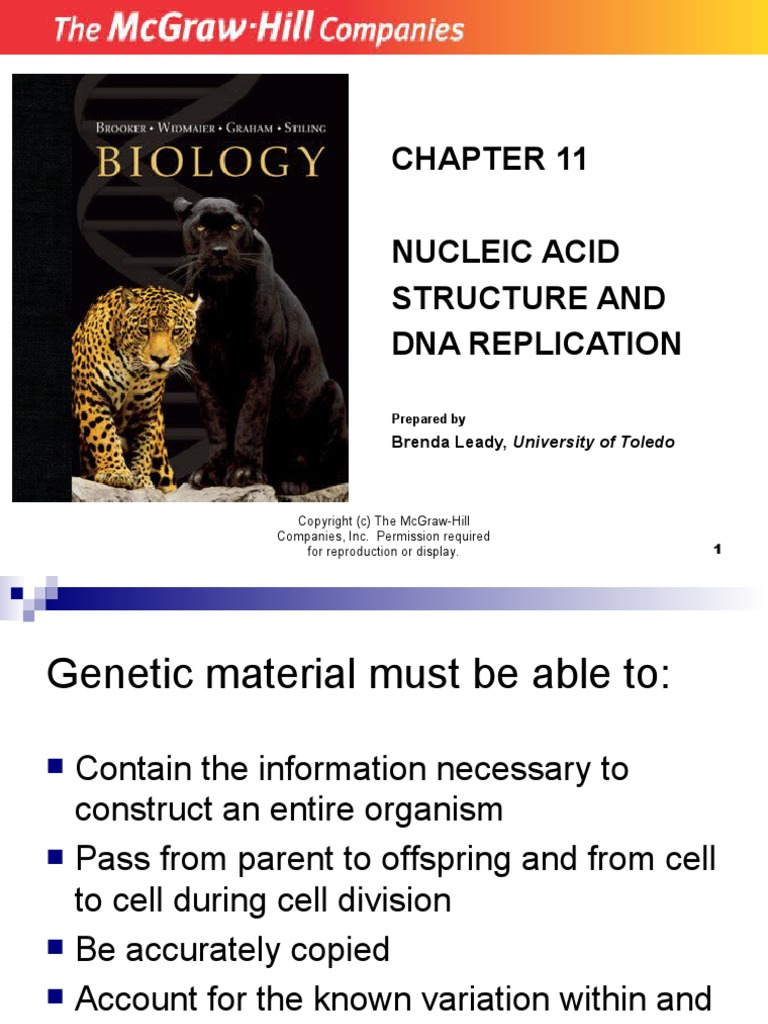 Nucleic Acid and Dna Replication | PDF | Macromolecules | Dna Replication