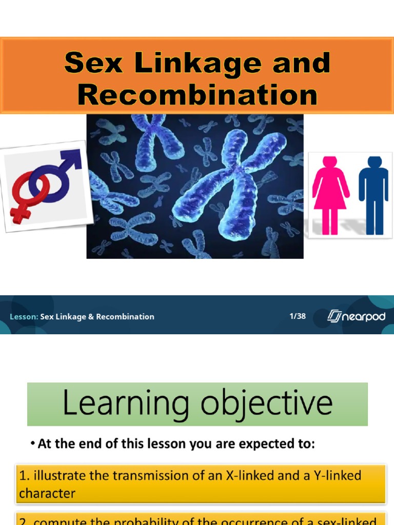 Sex Linkage Recombination Pdf Genetic Linkage Genetic Recombination