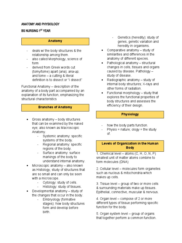 Anatomy and Physiology Reviewer | PDF | Human Body | Homeostasis