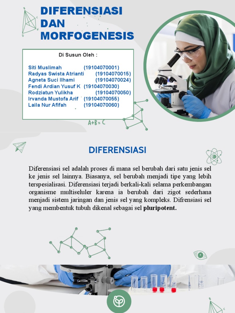 Proses Morfogenesis dan Diferensiasi | PDF | Sains & Matematika