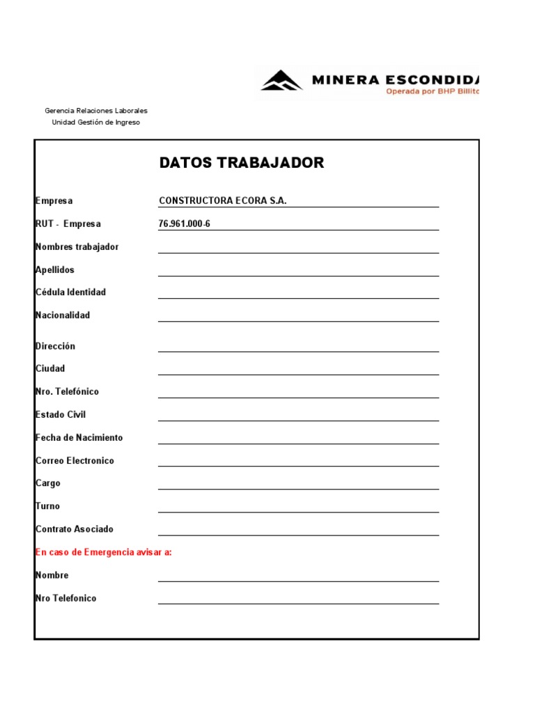 Formato - Ficha Mel | PDF