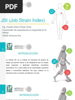 Evaluación Ergonómica Mediante Método Jsi | PDF | Factores humanos y ergonomía | Naturaleza