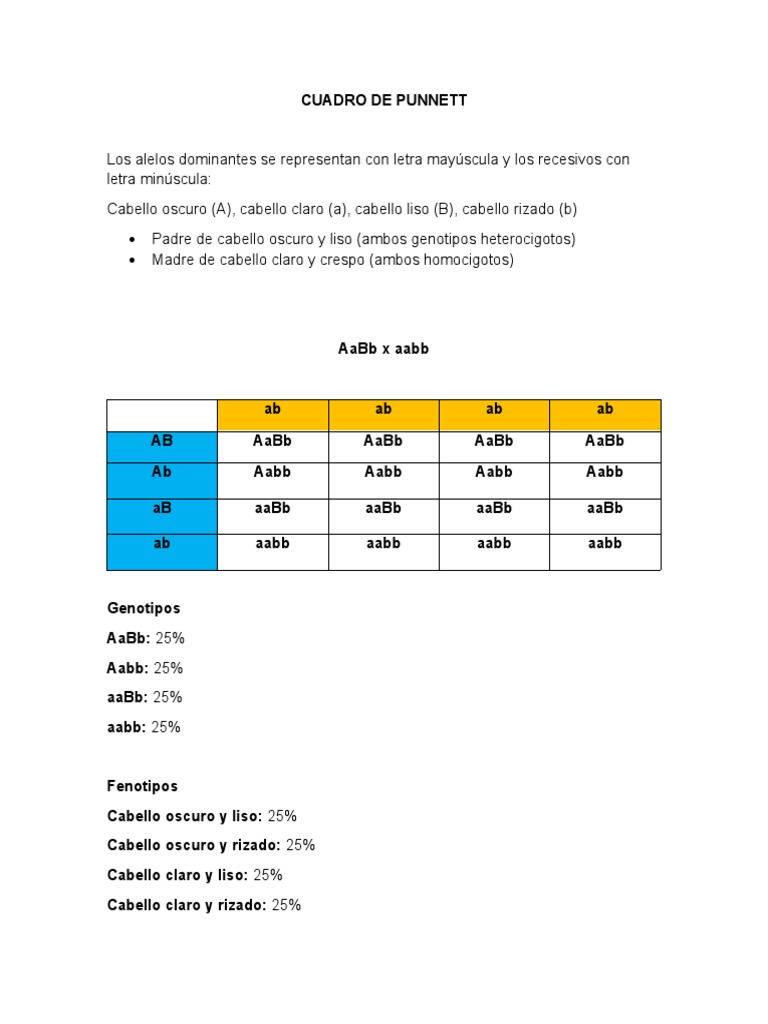 Hoja De Trabajo Del Cuadro De Punnett Con Respuestas
