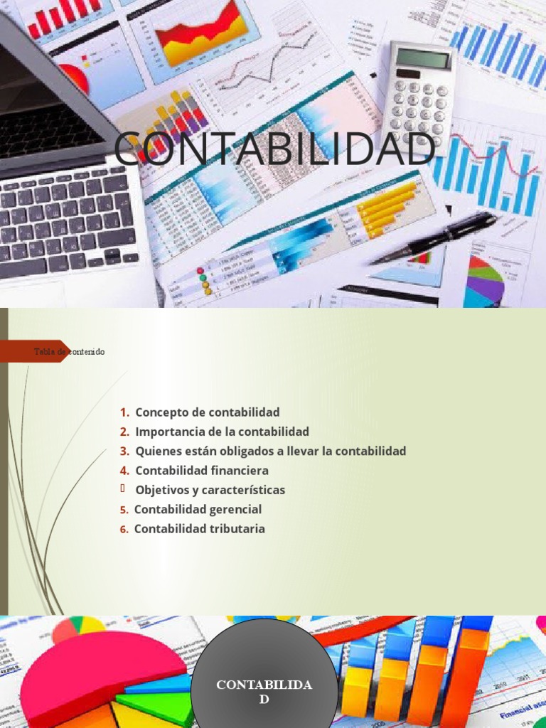 Importancia de La Contabilidad | PDF | Empresas | Contabilidad