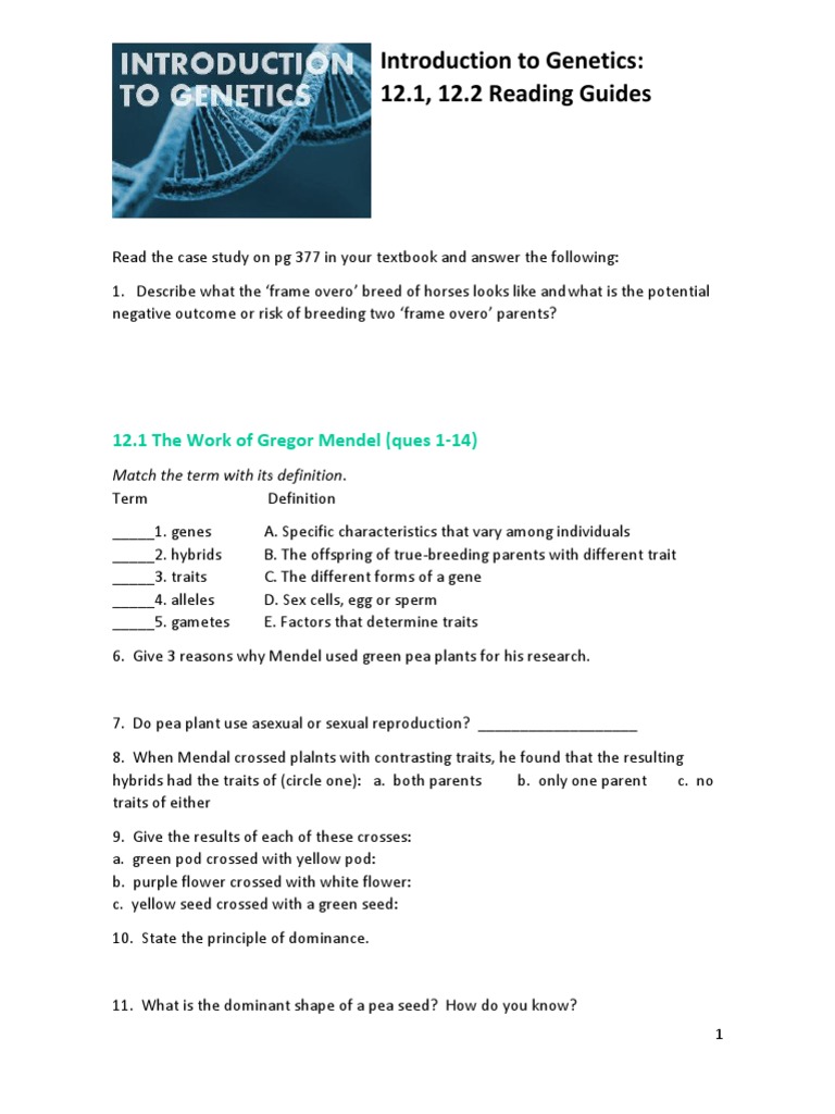 Genetics: Mendel's Principles Guide | PDF | Zygosity | Dominance (Genetics)