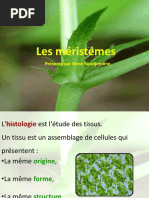 Cours 2-La Paroi Pectocellulosique PDF | PDF | Paroi cellulaire | Lignine