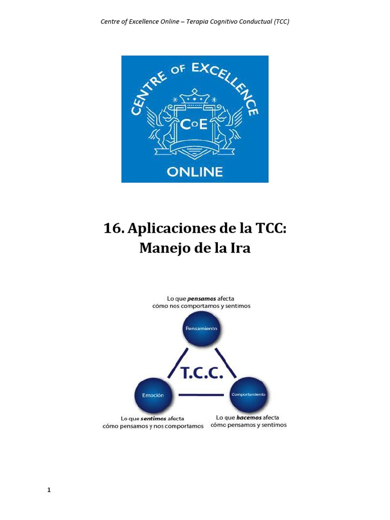 Tcc Aplicación De La Tcc Manejo De La Ira Pdf Ira Las Emociones