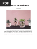 Tree Planting Action Plan | PDF | Trees | Natural Environment