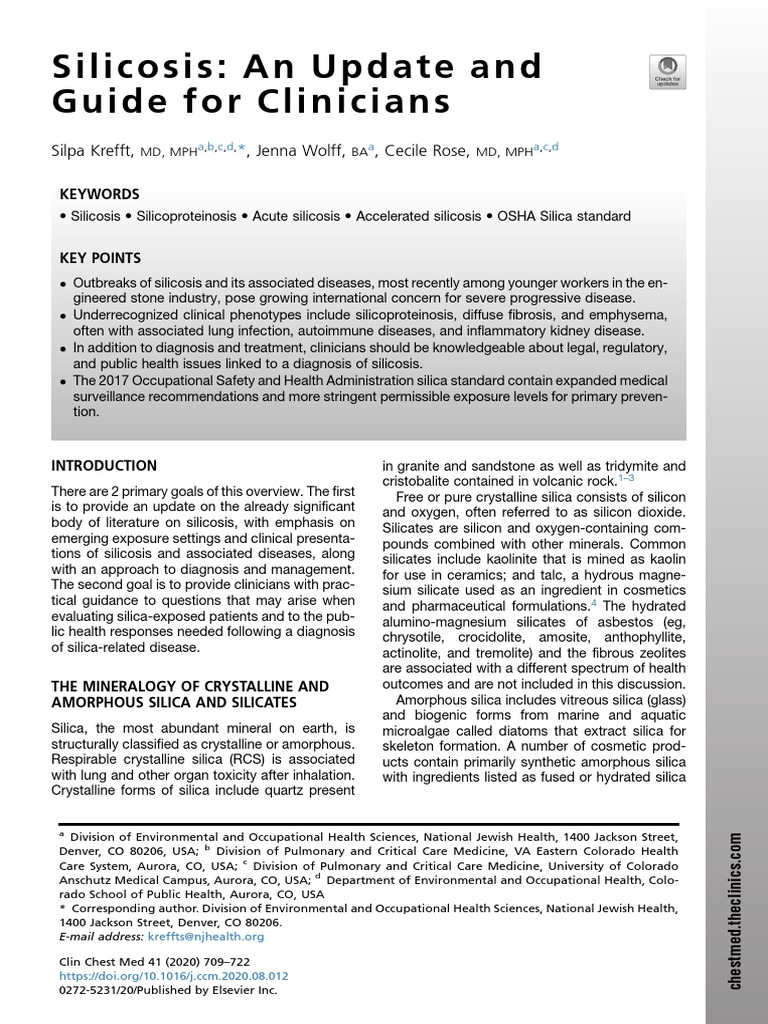 Silicosis: An Update and Guide for Clinicians | PDF | Chronic ...