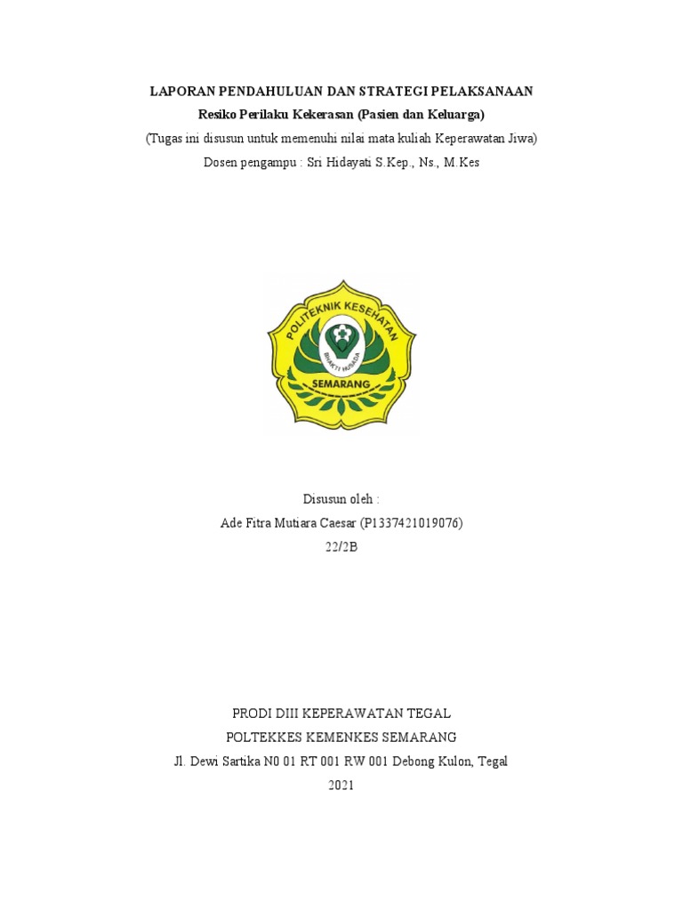 LP Dan SP Resiko Perilaku Kekerasan | PDF