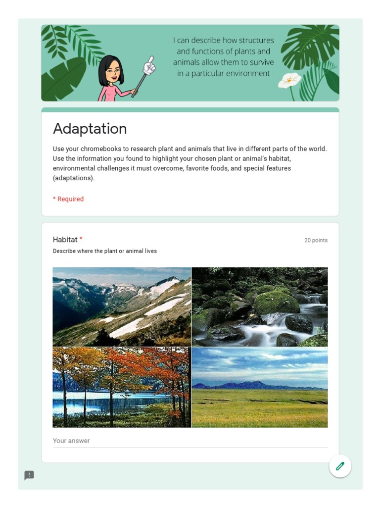 Adaptation | PDF