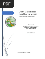Estadíos y Grados de La Periodontitis | PDF | Ciencia y matemáticas