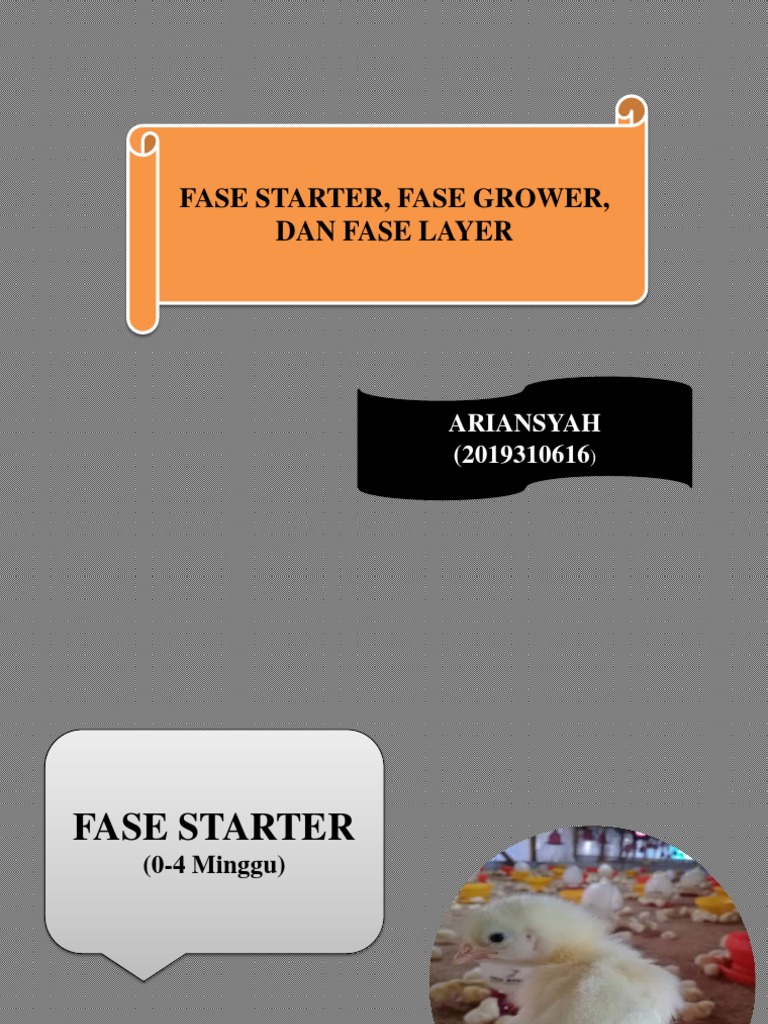 Fase Starter, Grower, Layer | PDF | Teknologi & Rekayasa