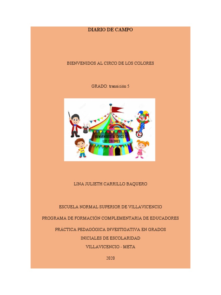 DIARIO DE CAMPO V SEMESTRE - Lina Carrillo | PDF | Educación de la ...