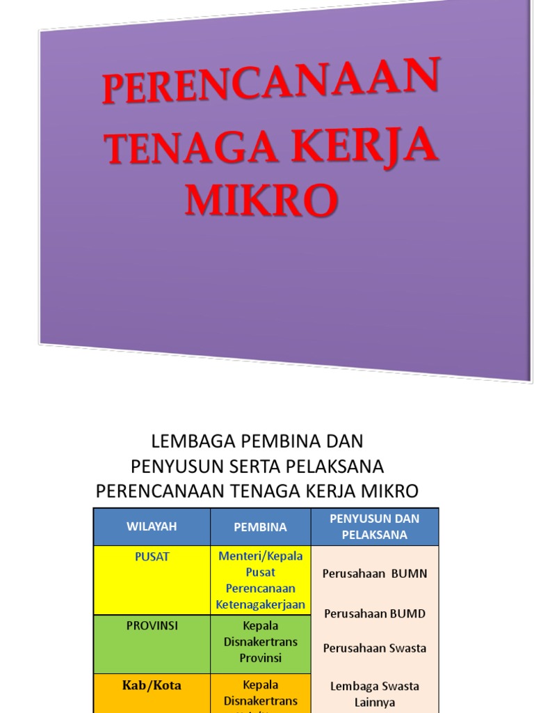 Perencanaan Tenaga Kerja Mikro 5 Mei | PDF