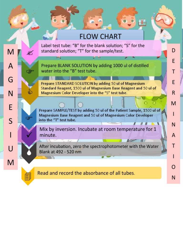 M A G N E S I U M : Flow Chart | PDF