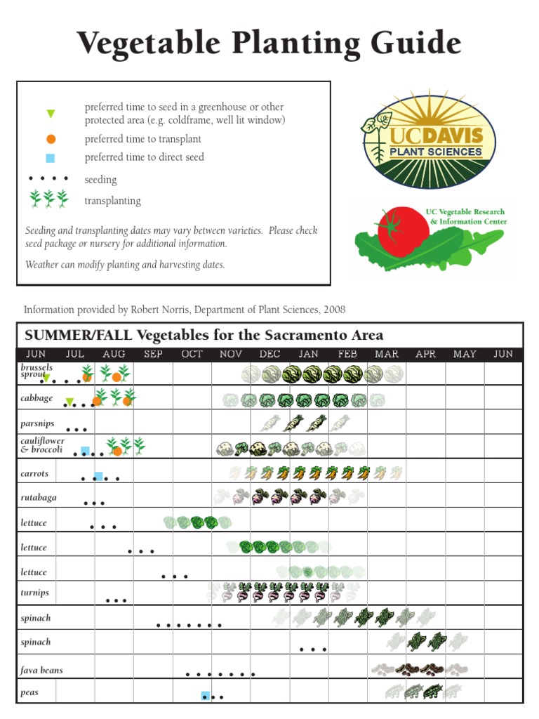 Vegetable Planting Guide | PDF