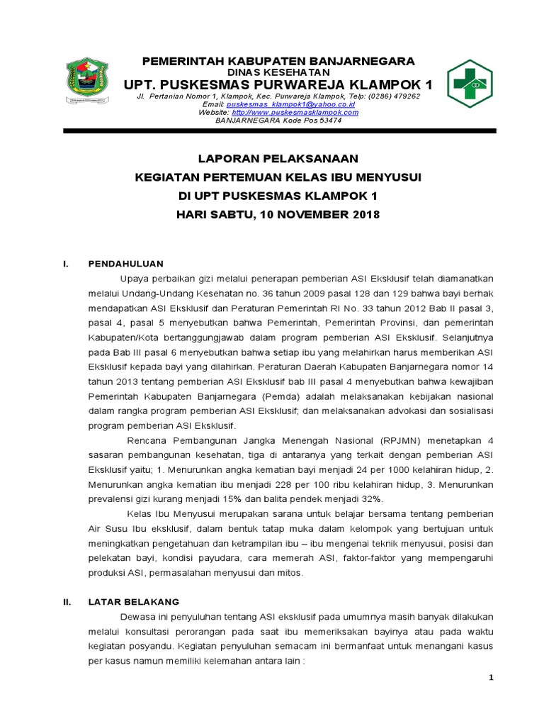 Laporan - Hasil Kls Busui - 2 | PDF