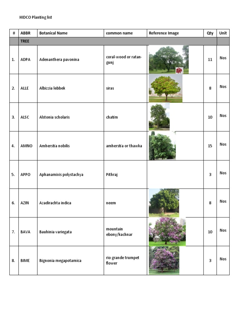 # Abbr Botanical Name Common Name Reference Image Qty Unit Tree | PDF ...