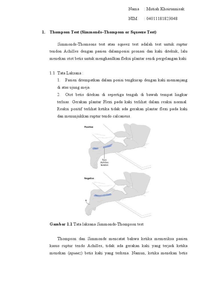Li Simmons Thomsons 2 | PDF