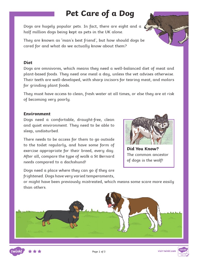 Pet Care of A Dog Differentiated Reading Comprehension Activity | PDF ...